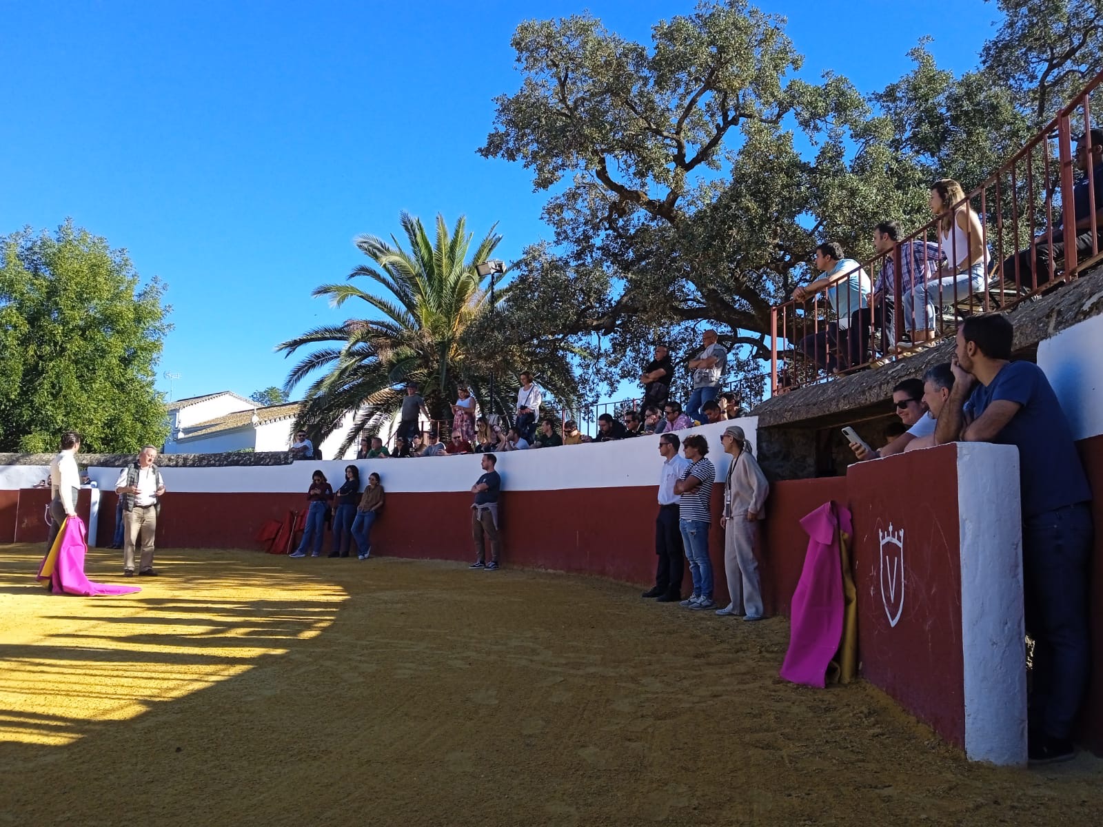 Clase de toreo privada y visita a una ganadería de toros de lidia ...