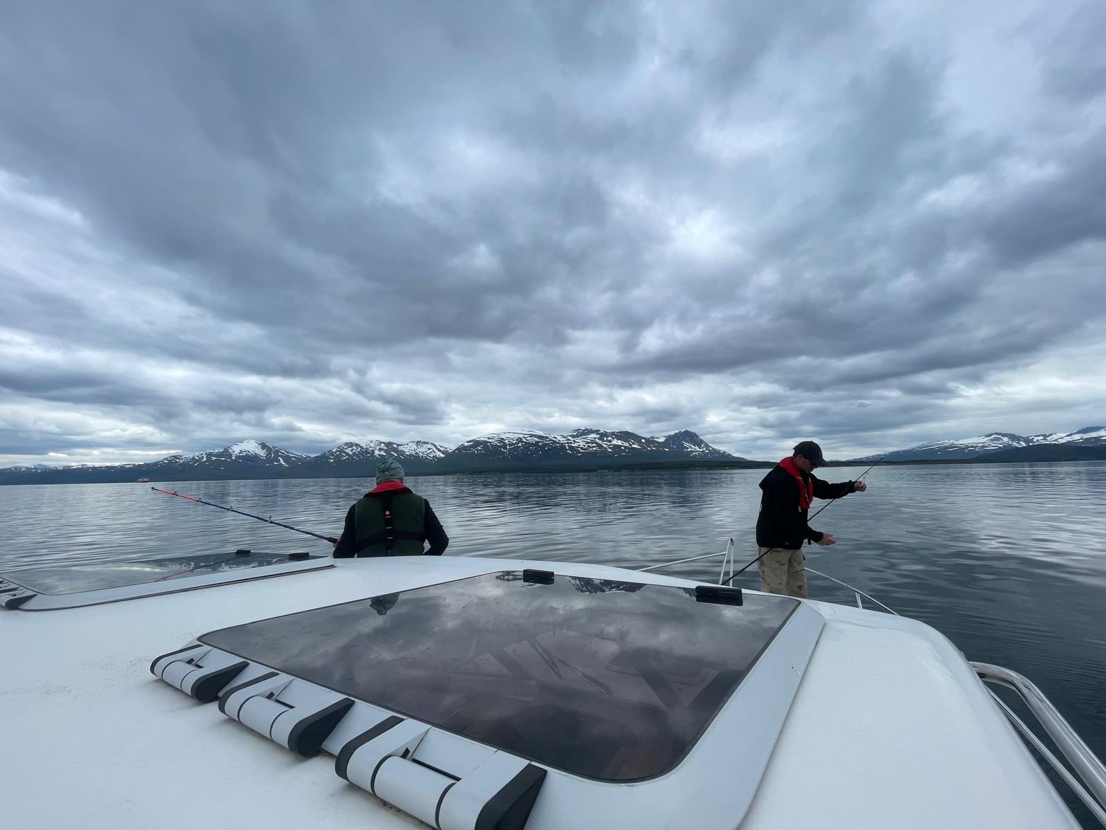Cod & Chill: Arctic Fishing in Tromsø